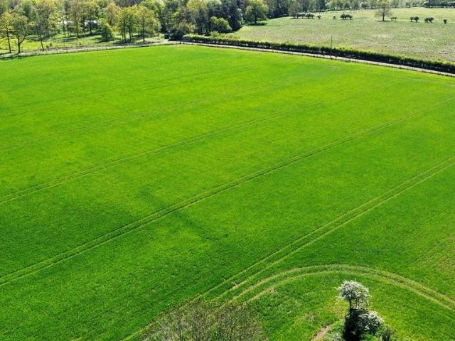 Farm land for sale
