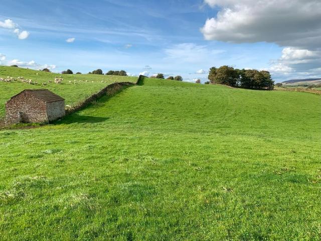 Farm land for sale