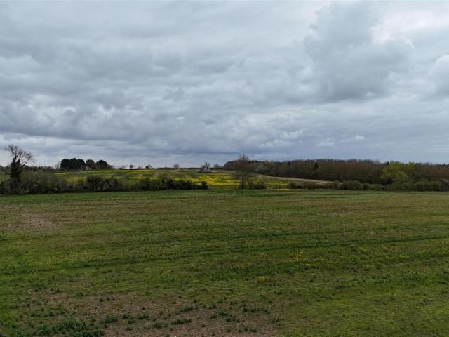 Farm land to rent
