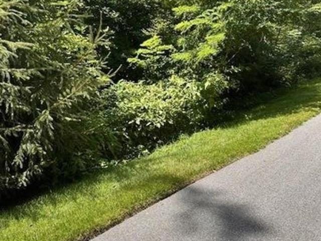 Farm Loop Rd Lot 17, Banner Elk, NC 28604