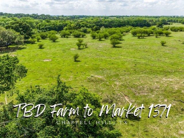 Farm to Market # 1371, Chappell Hill, TX 77426