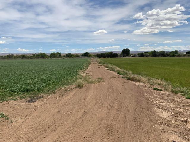 Farm To Market Road