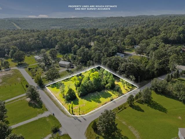 Farmer Cir, Salesville, AR 72653