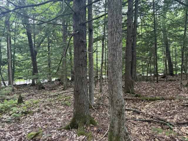 Farmington ME 04938 104539623