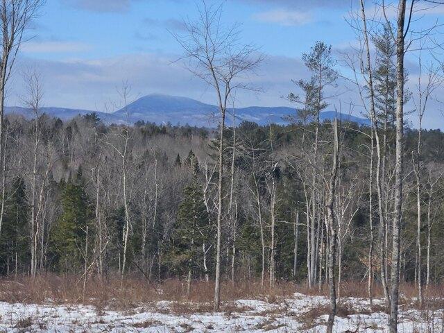 Farmington ME 04938 104852528