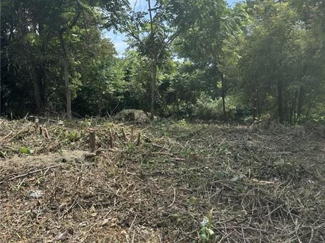 Farms/Ranches: MLS #1769