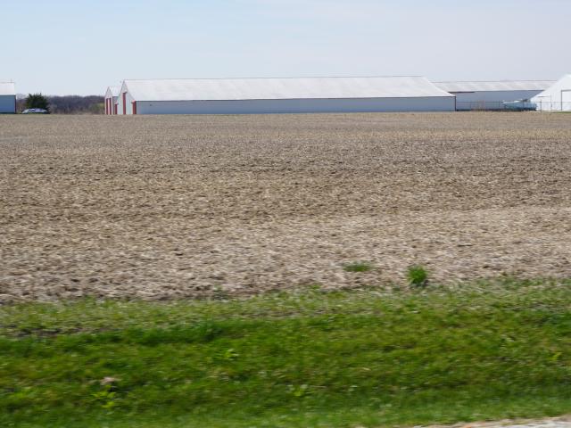 Farms/Ranches: MLS #12613