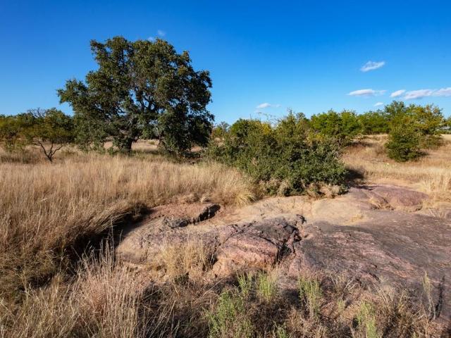 Farms/Ranches: MLS #4093