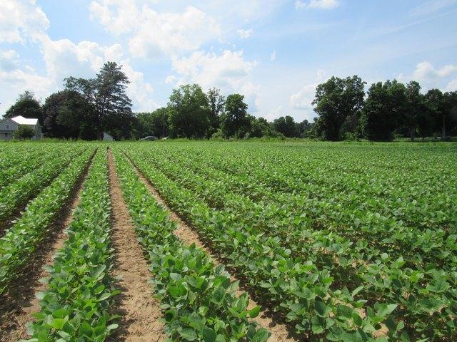 Farrand Rd, Colon, MI 49040