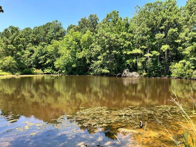 Farrah Rd, Saluda, SC 29138