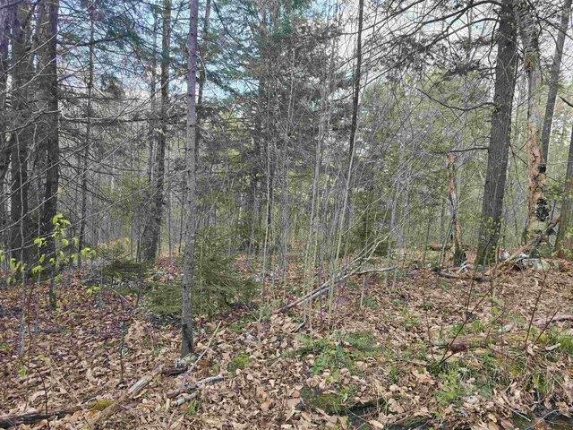 Farrar Rd, Chester, VT 05143