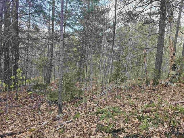 Farrar Rd, Chester, Plot For Sale