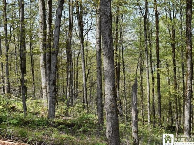 Farrington Hollow Rd, Cherry Creek, NY 14723