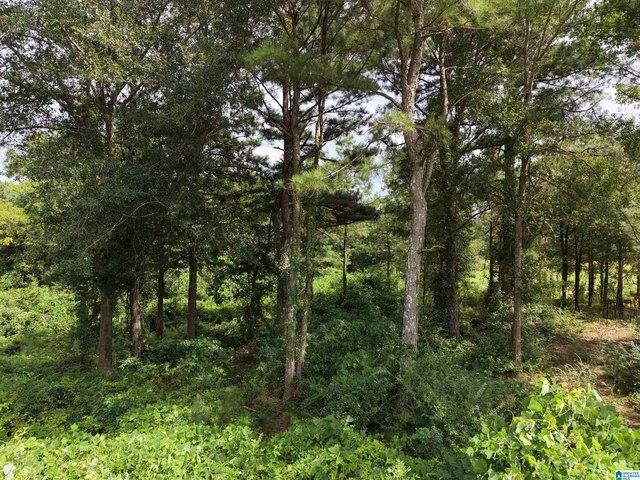 Fat Adams Dr Lot 18, Hayden, AL 35079