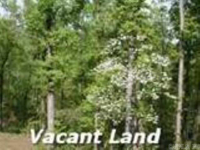 Faulkner Meadows Dr Lot 3, Mayflower, AR 72106