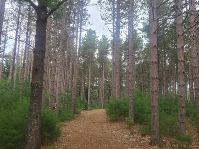Fawn Ln Lot 1, Hancock, WI 54943