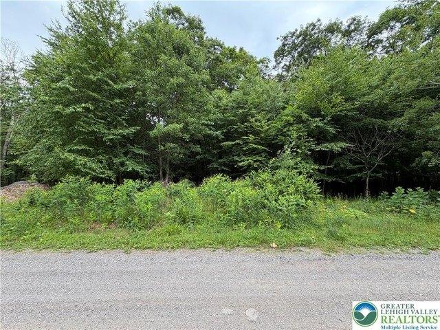 Fawn Ln, Walker, PA 18252