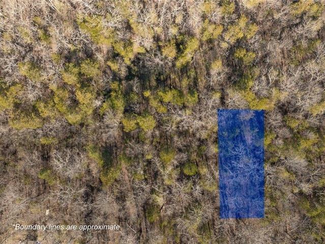 Fawn St Lot 62, Diamond City, AR 72644