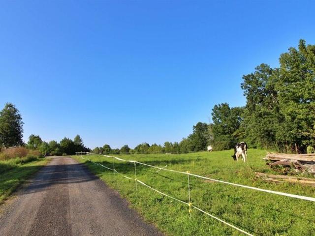 Faywood Rd Lot,grand Isle, Plot For Sale