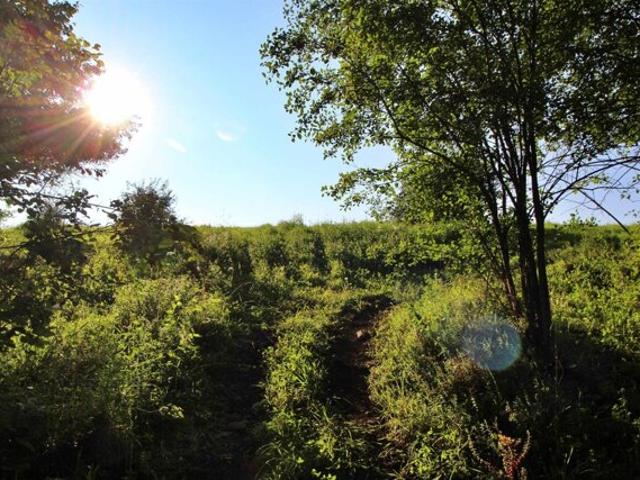 Faywood Rd Lot,grand Isle, Plot For Sale