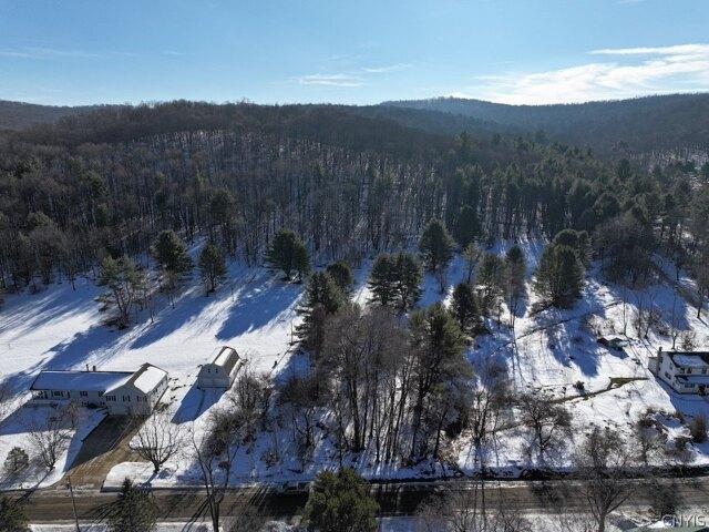 Fay Hollow Rd, Great Valley, Plot For Sale