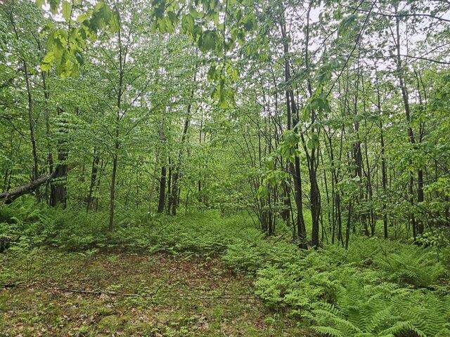 Fayette Ridge Rd, Fayette, Plot For Sale