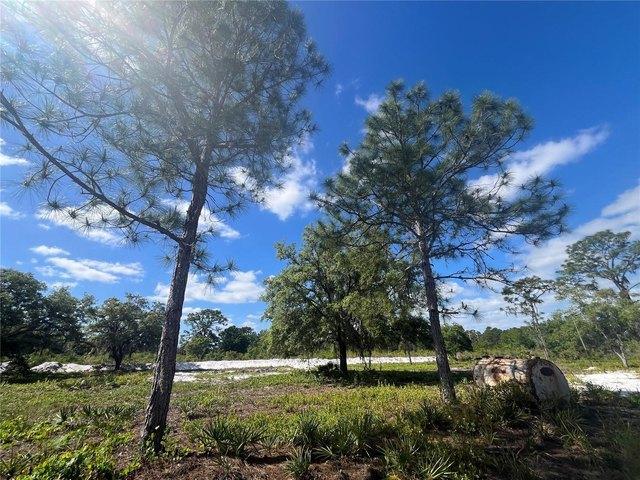 Fazzini Dr, Frostproof, FL 33843