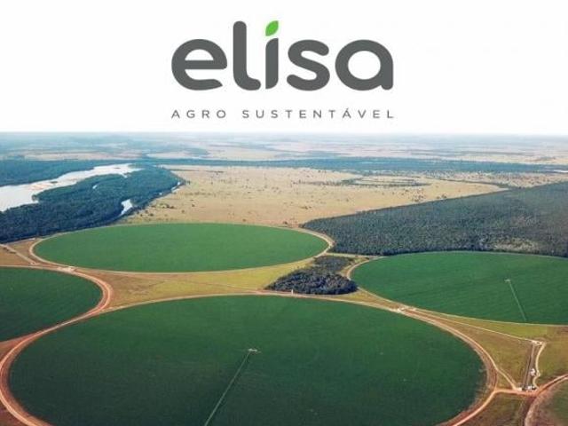 Faz. de 4.890 Hectares no Vale do Araguaia: Produtividade e Potencial Irrigado