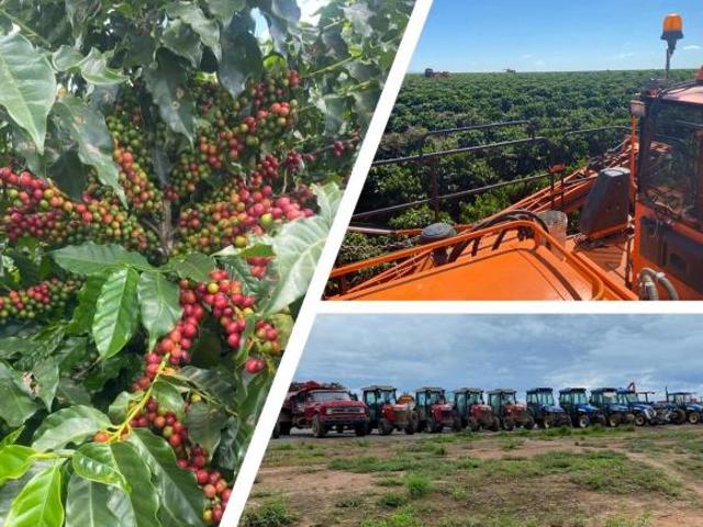 FAZ. PONTAL UM DOS MELHORES ATIVOS AGRÍCOLAS DO BRASIL 4.767 Hec Unaí. MG