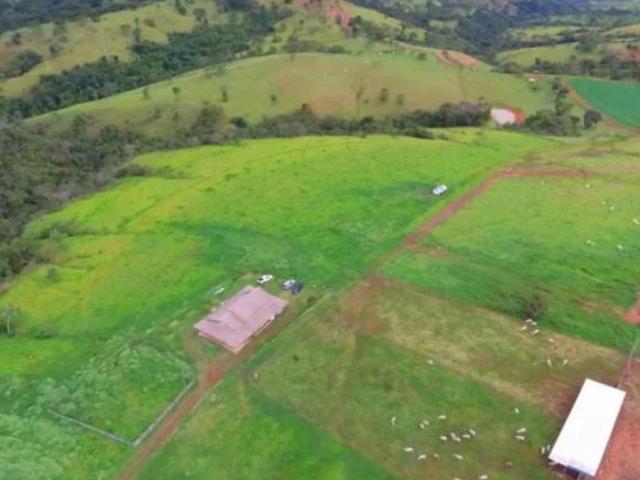 Fazeda para venda possui 657 hectares dupla aptidão Patos de Minas MG