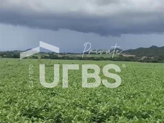 Fazenda, Municipio Vila Propicio, 535 alqueires, podendo dividir e fechar apenas 300 alqueires, dupl