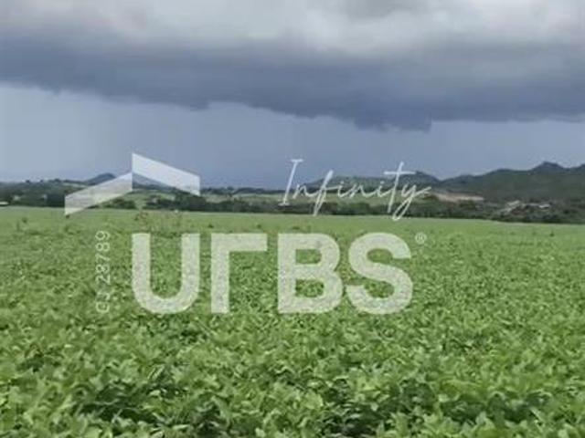 Fazenda, Municipio Vila Propicio, 535 alqueires, podendo dividir e fechar apenas 300 alqueires, dupl