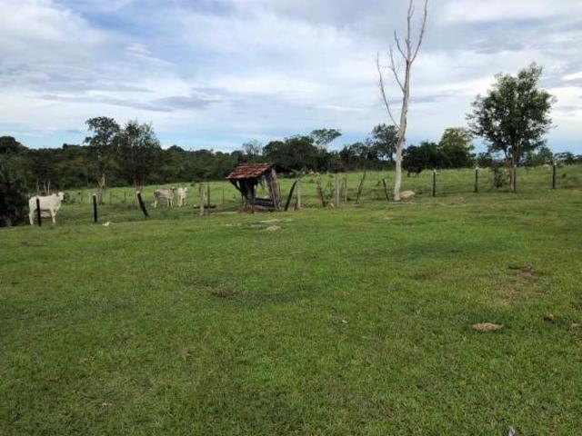 Fazenda município de Crixás Fazenda à Venda, 900000.00 por R$ 2050000.00 VN17407