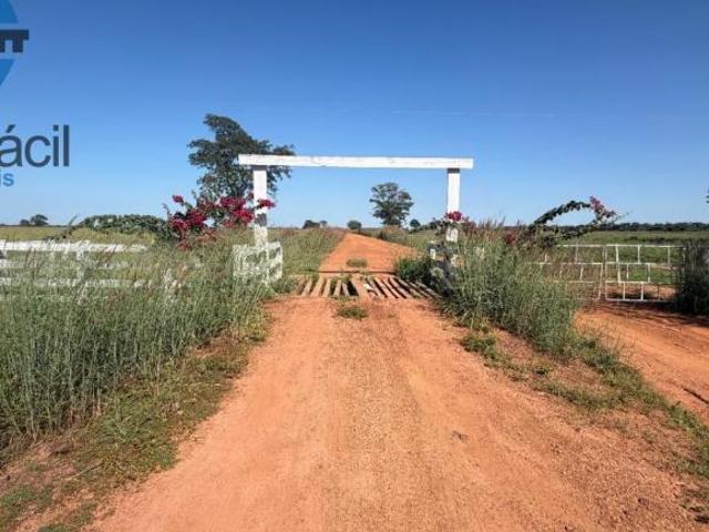 FAZENDA MUNICIPIO JUSSARA