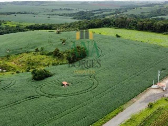 FAZENDA MARAVILHOSA À VENDA ITAPETININGA SP