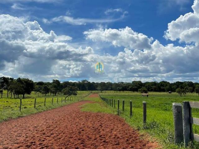 Fazenda Maravilhosa/GO