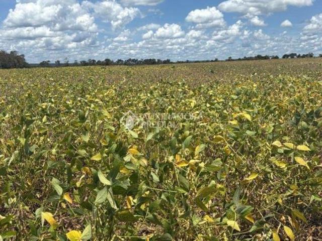 Fazenda Mato Grosso, 2.500 Hectares à Venda na Região Vale do Araguaia, Aguá Boa, MT