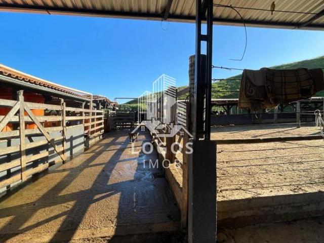 Fazenda Mexicana com 153 hectares localizada em Rio Novo Juiz de Fora MG 03