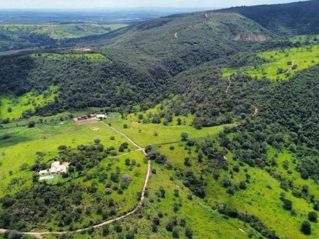 FAZENDA MODELO DE 715 HA À VENDA EM PITANGUI/MG