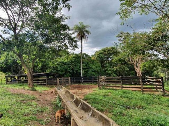 FAZENDA NA BEIRA DA BR 040 A 05 KM DA ENTRADA OFICIAL DE LUZIÂNIA 6198150 8787 zap