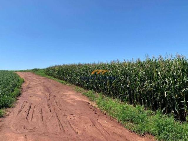Fazenda na lavoura com Irrigação, com 135,0 alqueires por R$ 35.000.000 Região de Casa Branca/SP
