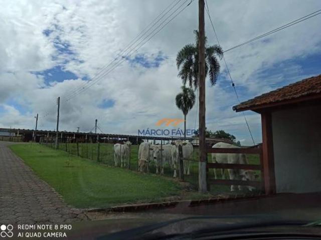Fazenda na Lavoura e pasto, com 576,5 alqueires por R$ 152.000.000 Região de Capão Bonito/SP