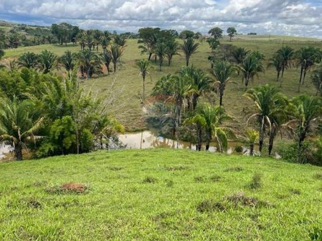 Fazenda na Planta em Cocalzinho: Possível Parcelamento