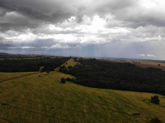 Fazenda na região de itapeva 1064 hectares 110 milhões ou 120 milhões parcelado Está com plantio d