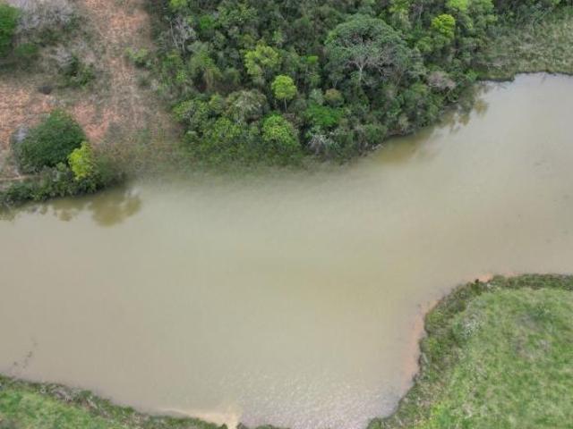FAZENDA NA REGIÃO DE JUIZ DE FORA 229 hectares