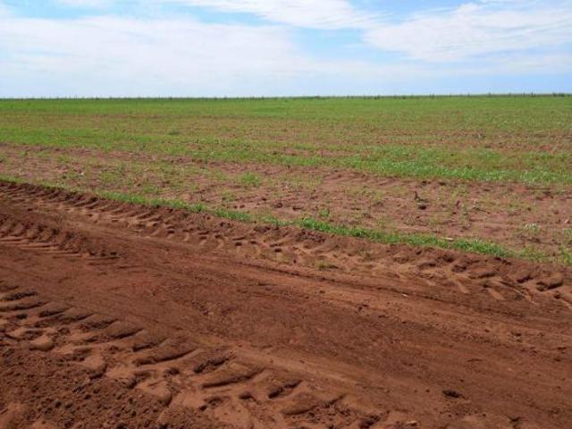 FAZENDA NA REGIÃO DE JUSCIMEIRA MT!