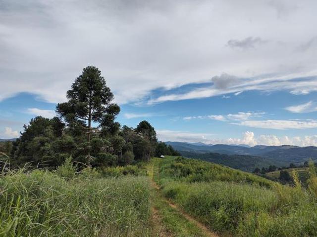 Fazenda na Serra da Mantiqueira Sul de Minas Área total 484.000m2