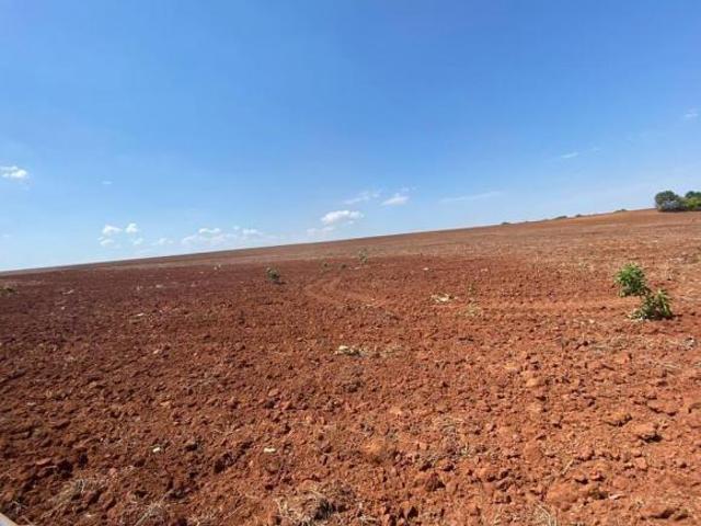 FAZENDA NEGOCIO DE OPORTUNIDADE!