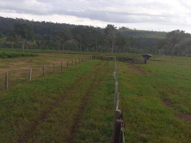 FAZENDA NEGOCIO DE OPORTUNIDADE!