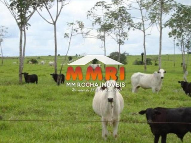Fazenda, Ni, Porto Alegre do Norte, MT